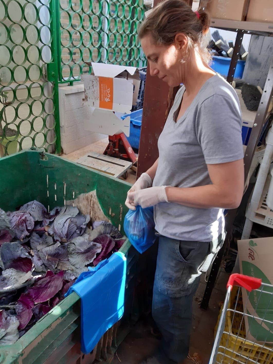 Volunteer Profile: Anat Avigad - Meir Panim